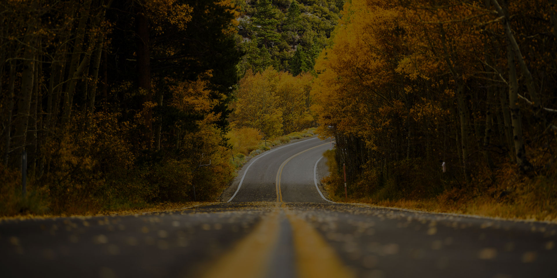 Fall Driving Tips for James J Williams Drivers - James J. Williams